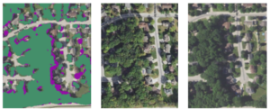 New Tree Canopy Resources Released