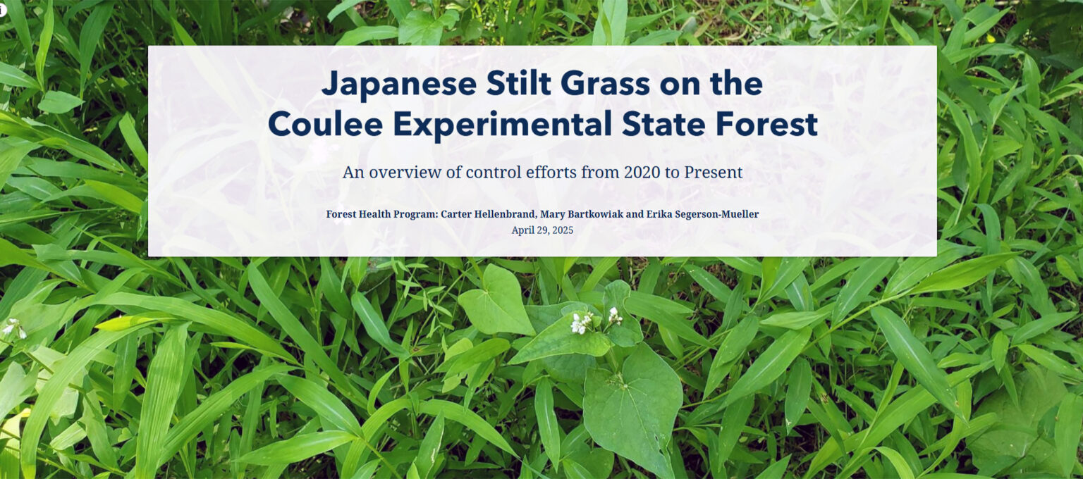 Japanese Stilt Grass History StoryMap Debuts