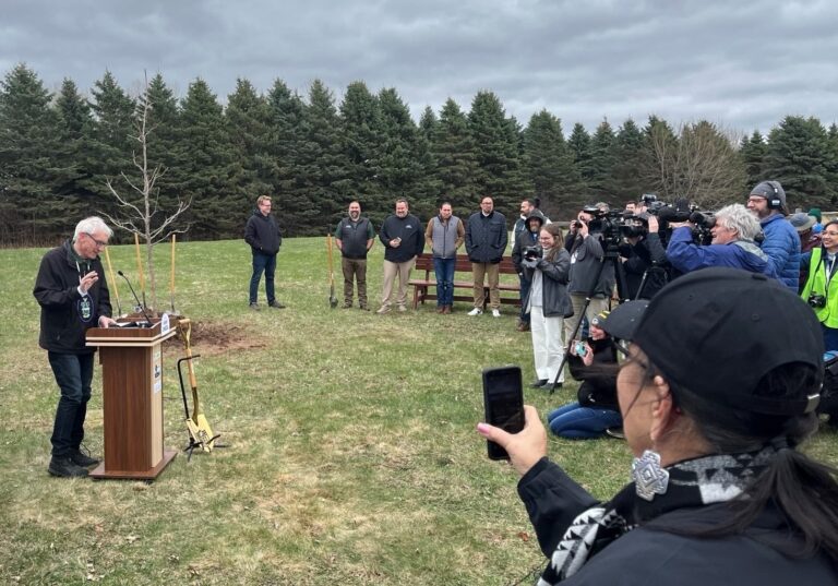 DNR Staff Drafted To Plant Trees In Green Bay