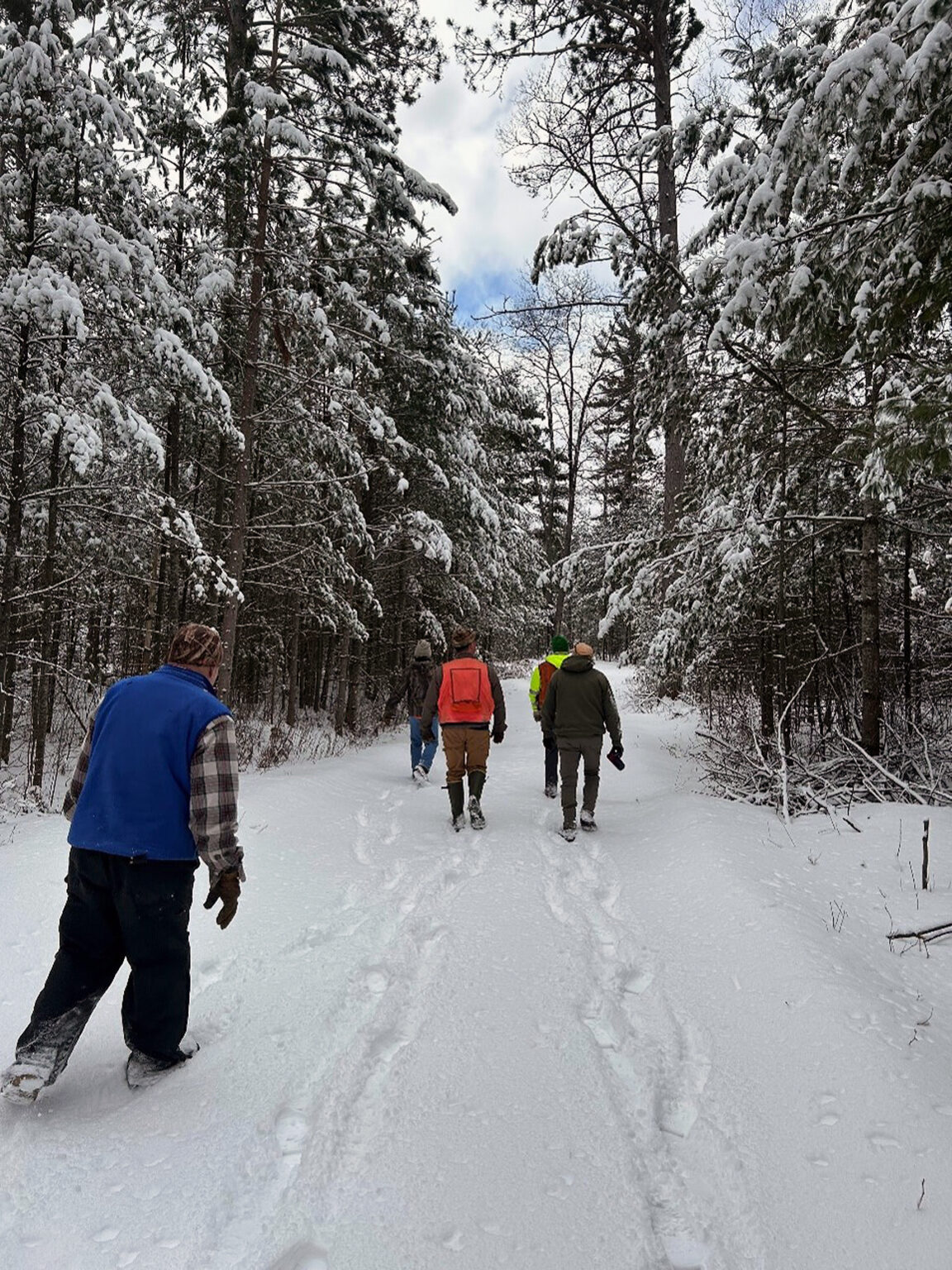 2025 Internal Audit Finds Sound Forestry And Room for Improvement