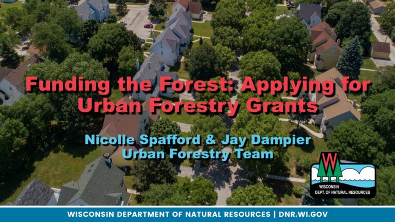 Urban Forestry Grants Webinar Announced Updated Application Process