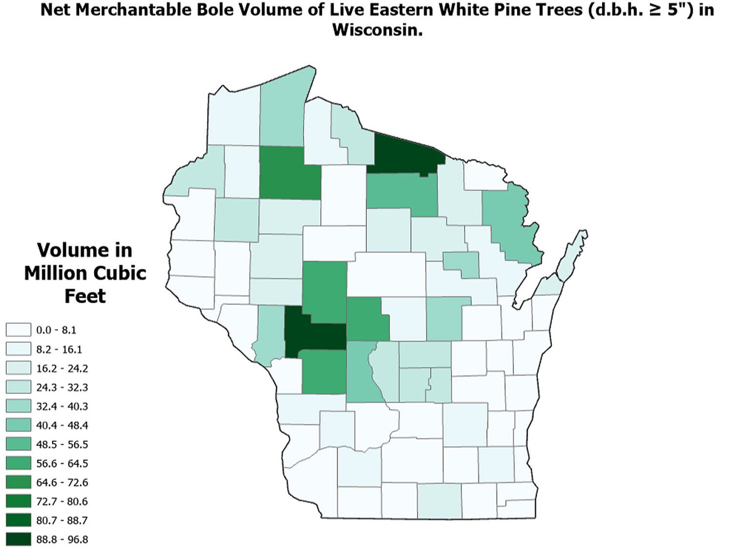 ‘White Pine Is A Junk Tree!’ Really?