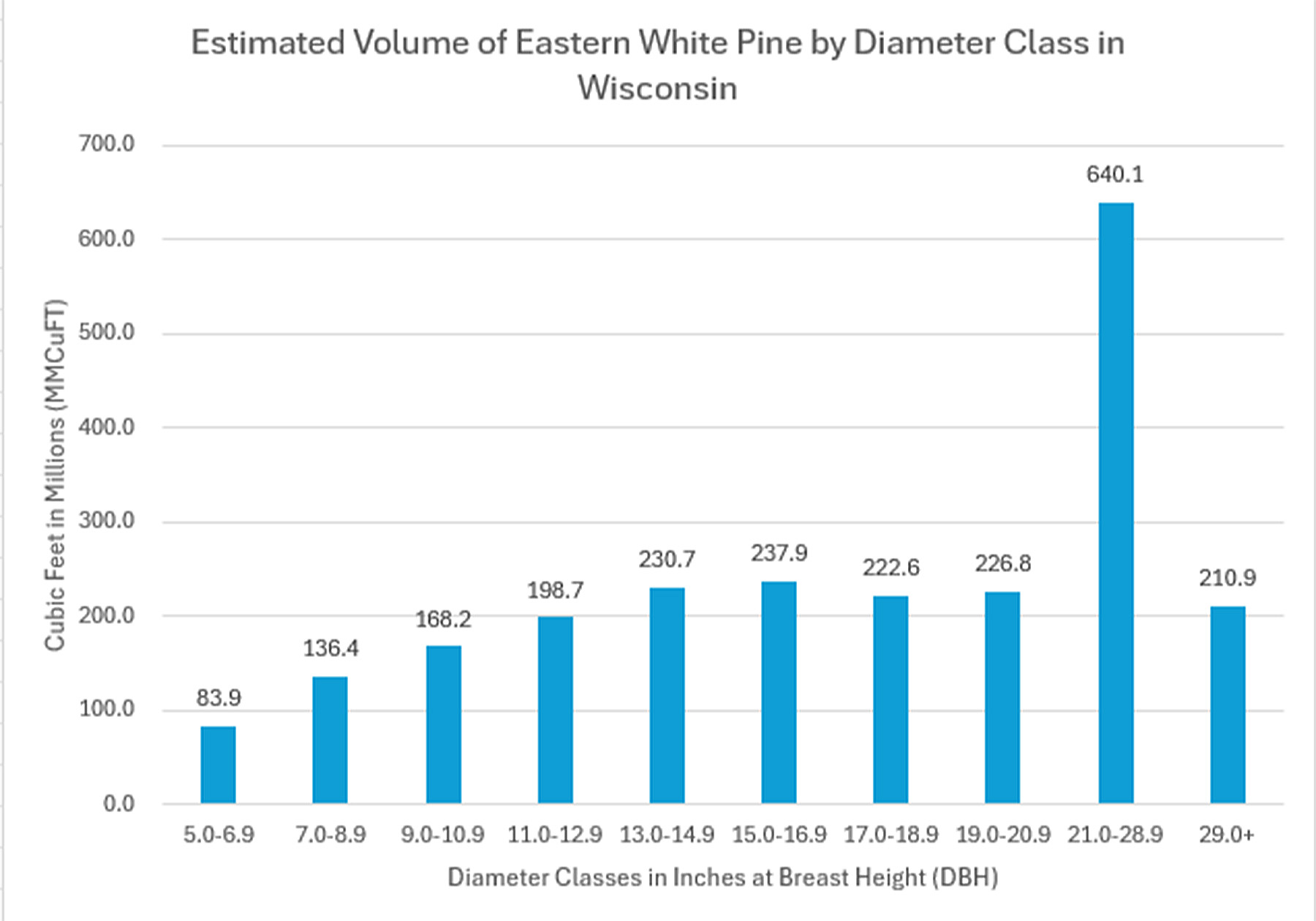 ‘White Pine Is A Junk Tree!’ Really?