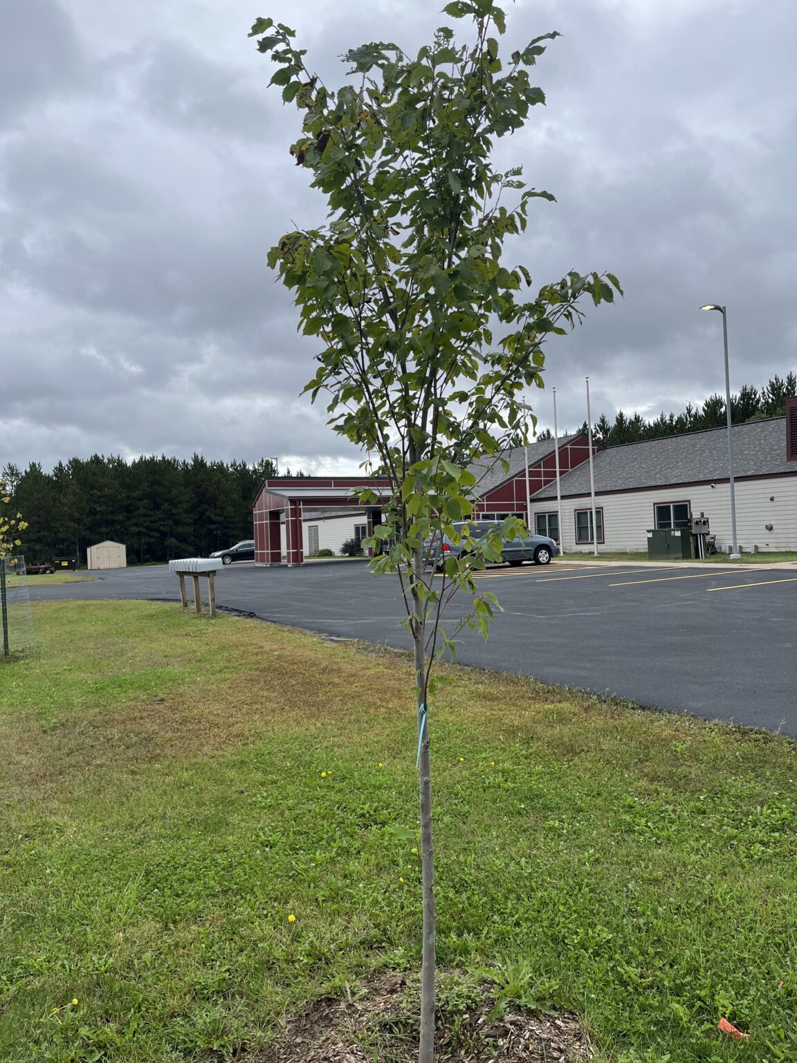 Program Spotlight: DNR’s Inflation Reduction Act Funded Projects Taking Root