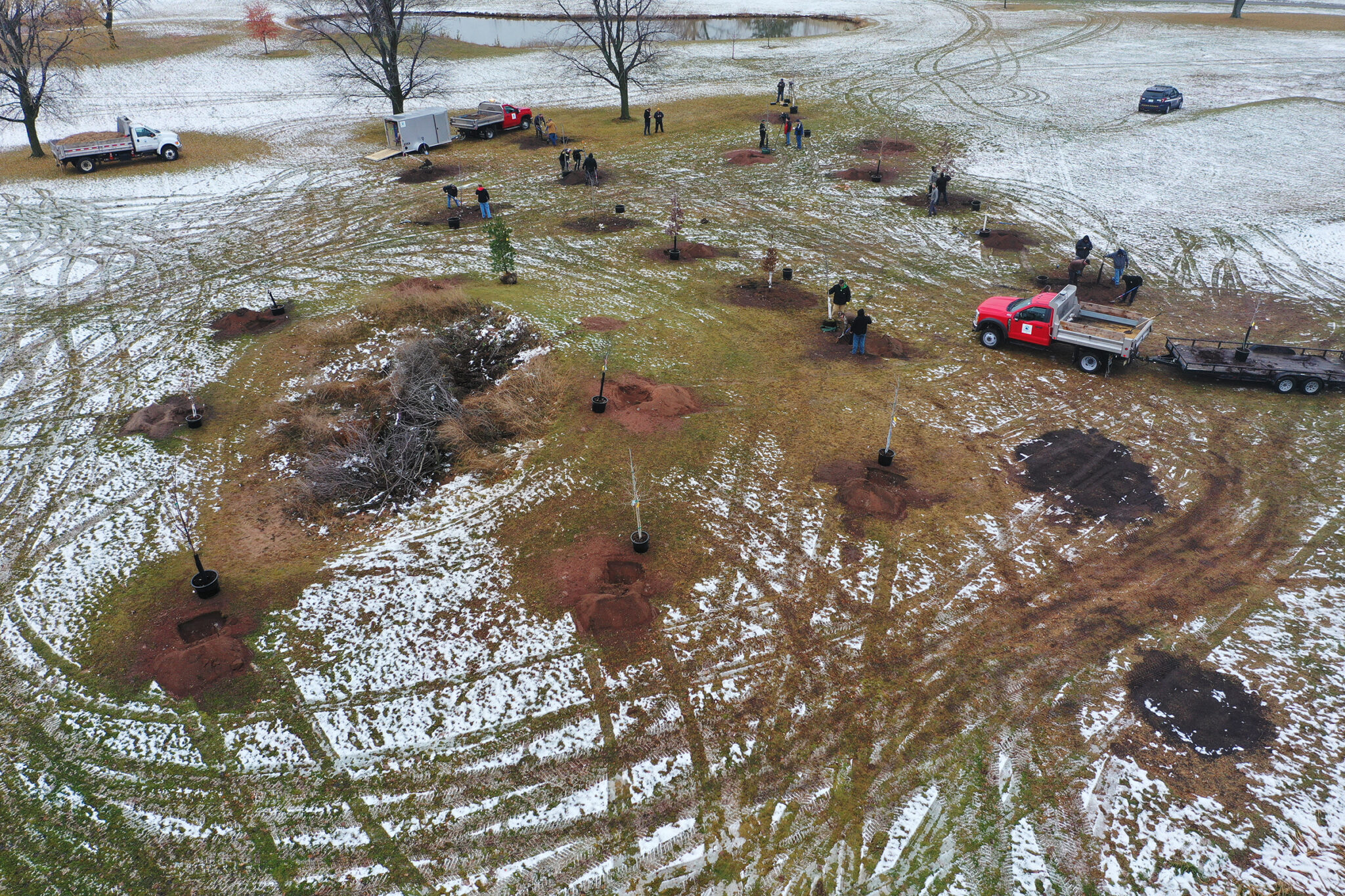 Governor Tony Evers Digs Into Planting Trees With Volunteers In Oshkosh