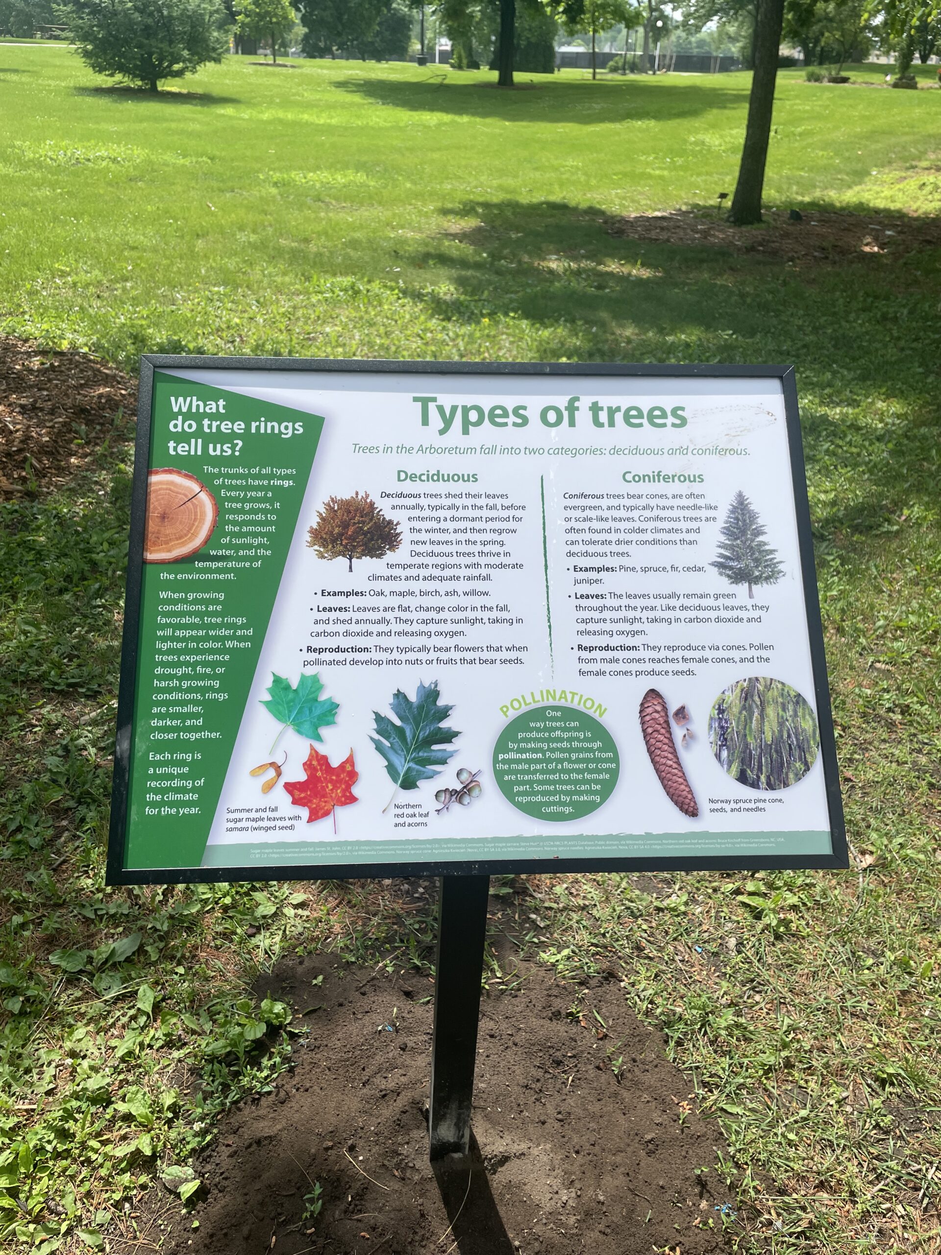 Community Spotlight: Outreach Examples From Western Wisconsin