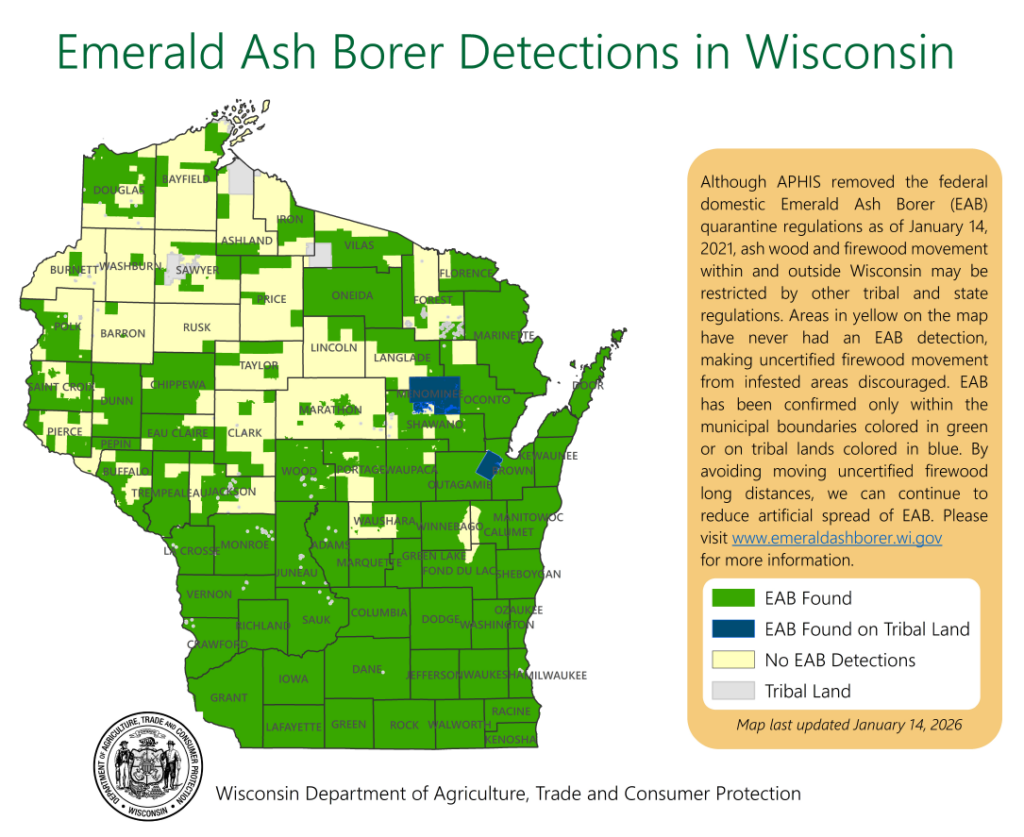 Protect Valuable Ash Trees Against Emerald Ash Borer